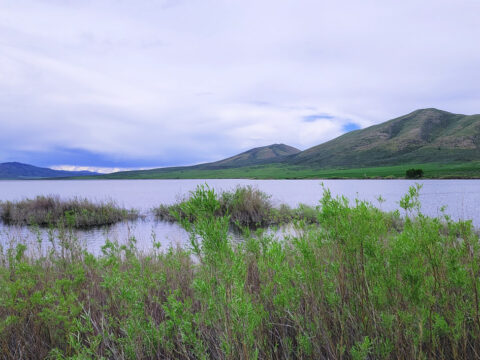 Grace Idaho - Southeast Idaho High Country
