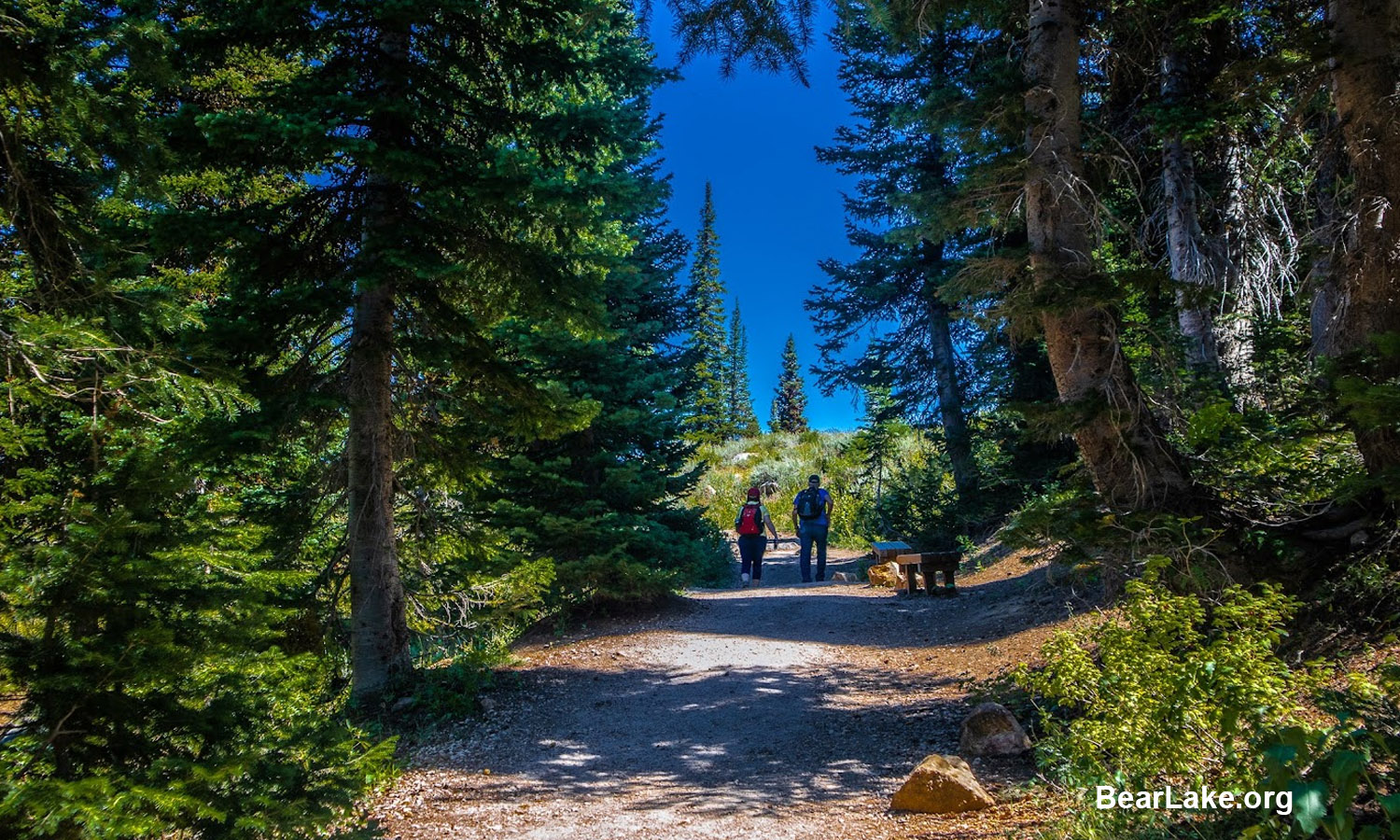 Caribou-Targhee National Forest