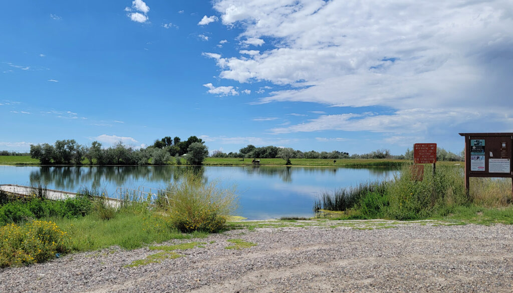 Springfield Bird Haven American Falls Idaho